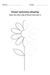 Symmetry Drawing Worksheets for Kids – Free Printables - 1thousandideas