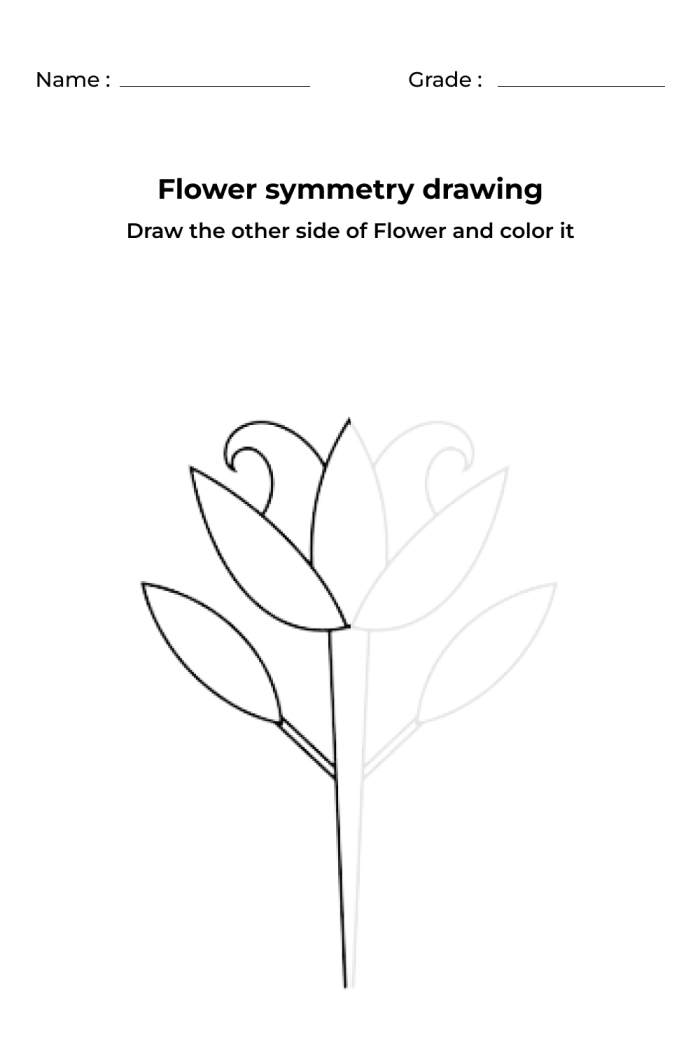 Symmetry Drawing Worksheets for Kids – Free Printables - 1thousandideas